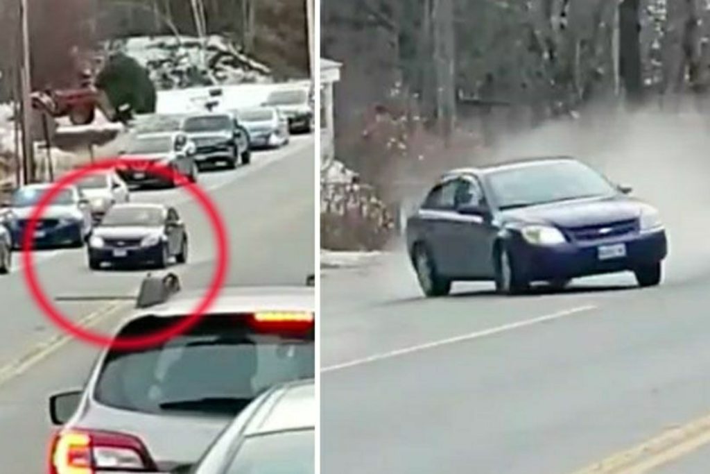 Man Films High-Speed Car Chase. Then The Car Hit Him
